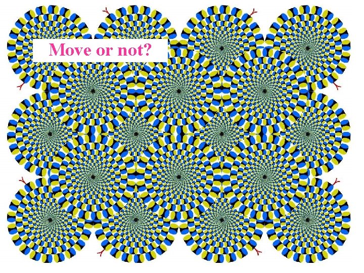 Unit 1 The world of our senses Welcome