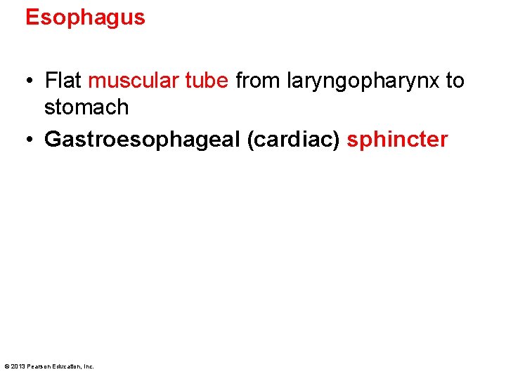 Power Point Lecture Slides prepared by Barbara Heard