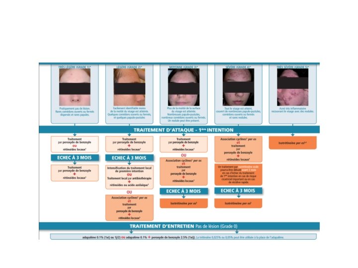 Interface between Cochrane Skin Group reviews and guidelines