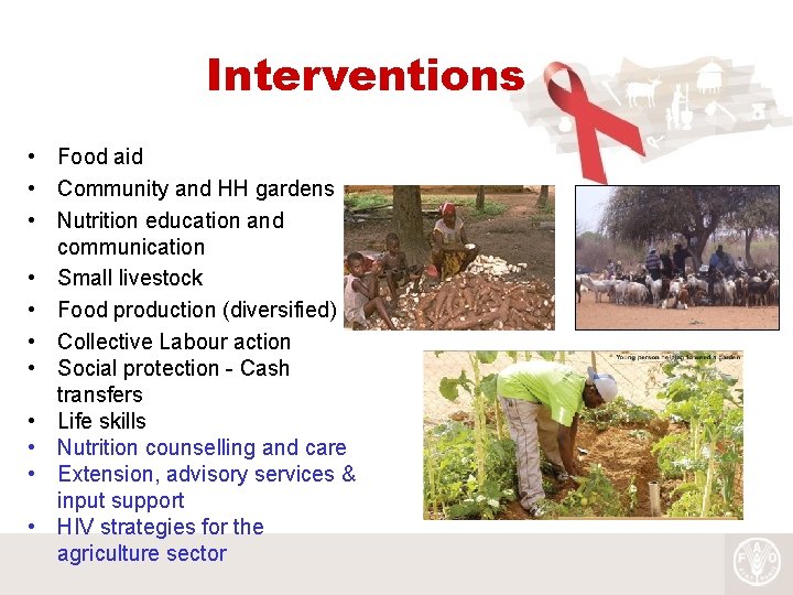 Food and nutrition security and livelihoods support in
