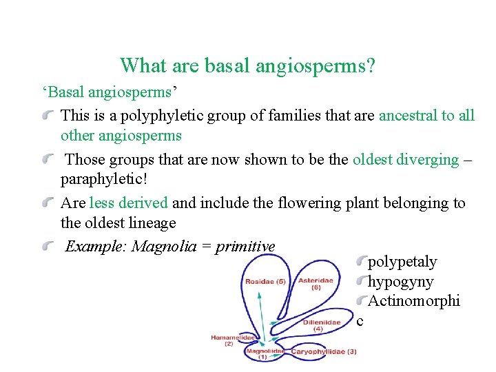 Department of Plant Biology and Biodiveriuty Management College
