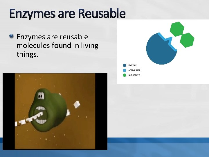 ENZYMES Biology Louisburg High School MA Standard 1