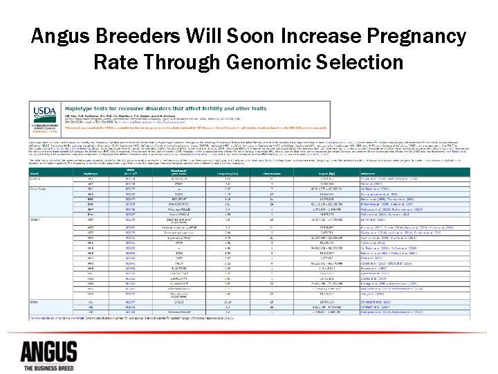 Genomic Evaluation of Angus Cattle Achievements and Opportunities