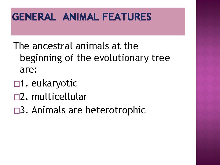 Fishes Amphibians Reptiles Mammals Monotremes Marsupials Placental Mammals