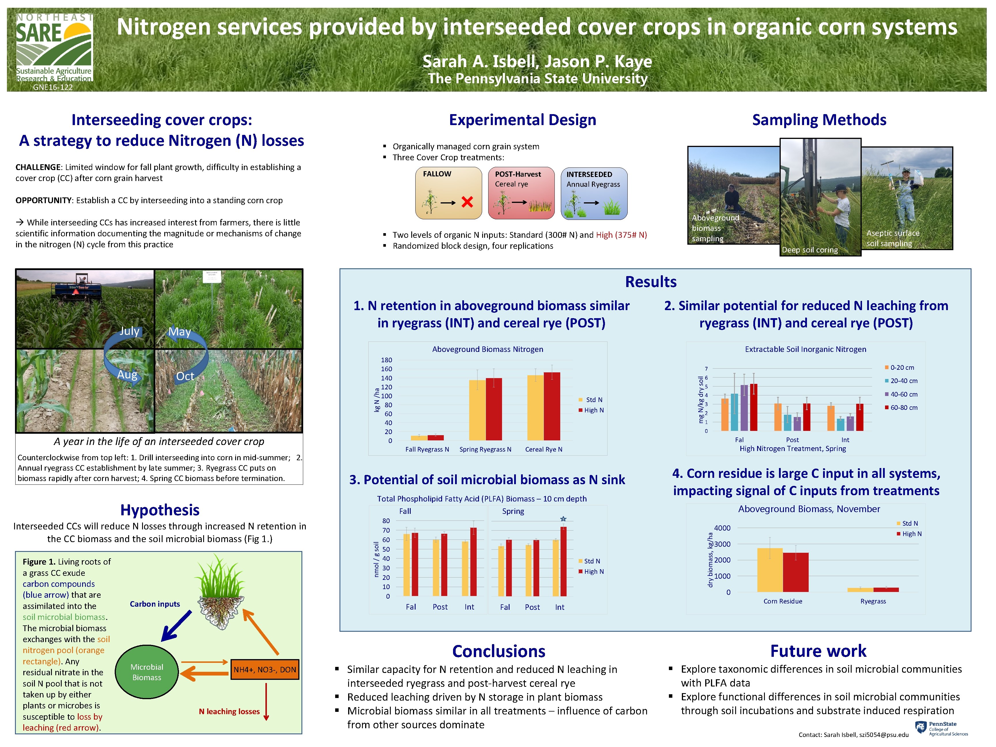 Nitrogen services provided by interseeded cover crops in