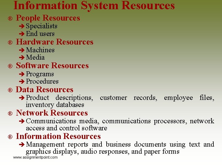 Foundations of Information Systems in Business www Assignment