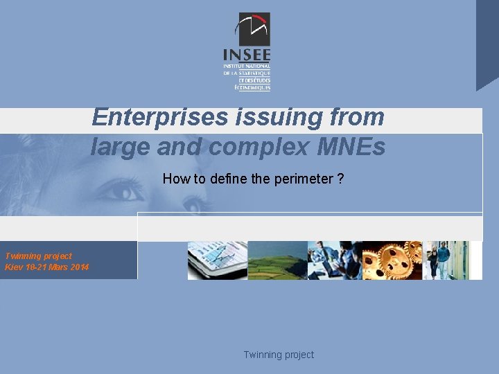 Enterprises issuing from large and complex MNEs How