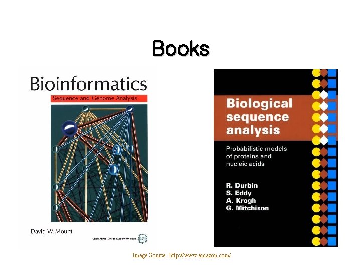 Bioinformatics for Vet Part I Sung Youn Lee