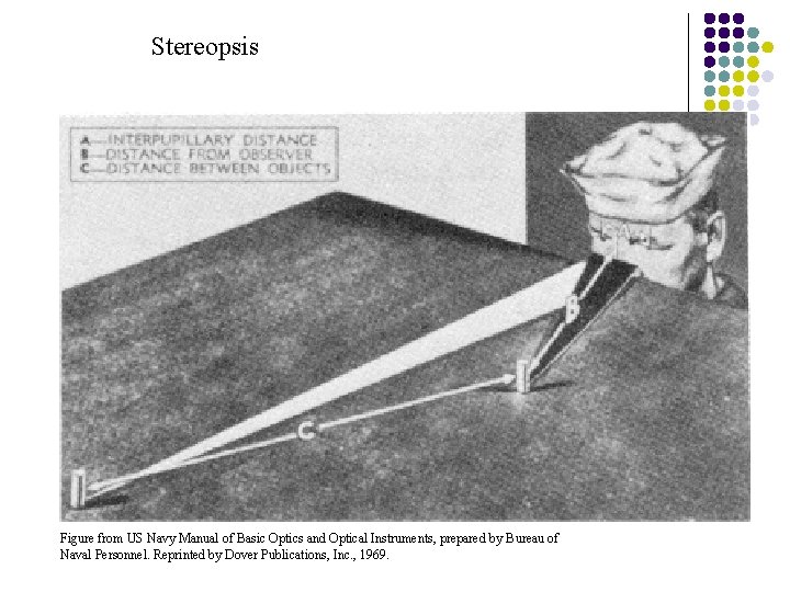 Stereo STEREOPSIS The Stereopsis Problem Fusion and Reconstruction