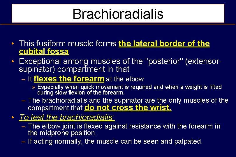 Anatomy of The Forearm And Ellbow Dr Fadel