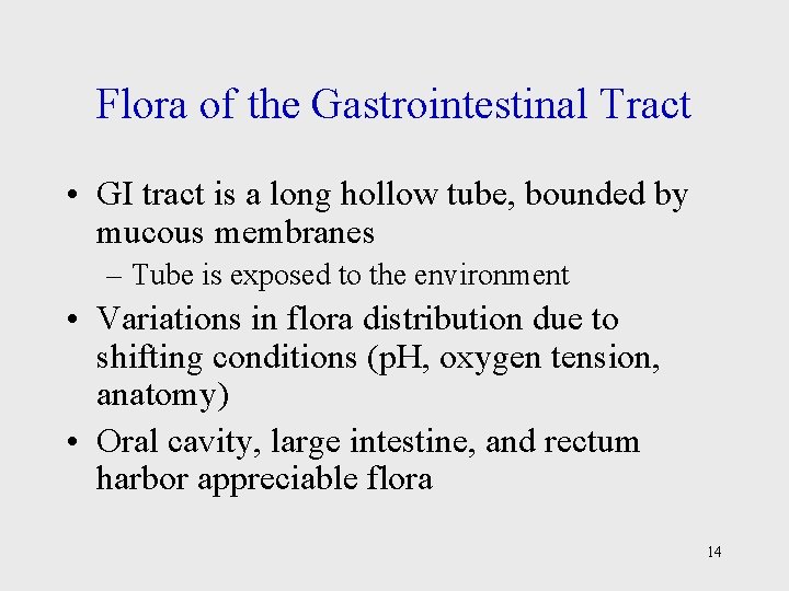 Lecture Power Point to accompany Foundations in Microbiology