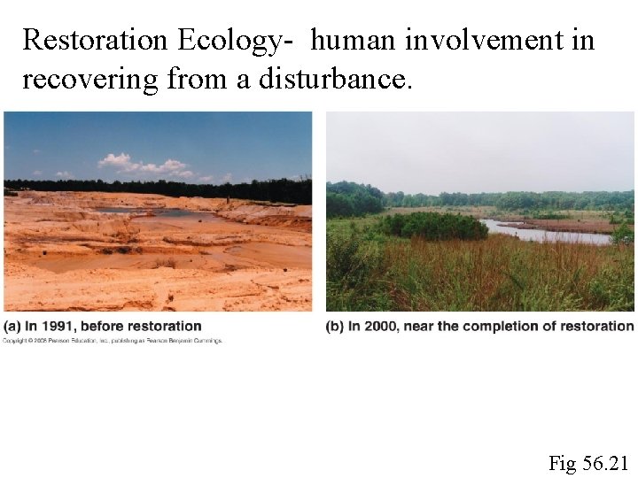 Restoration Ecology human involvement in recovering from a
