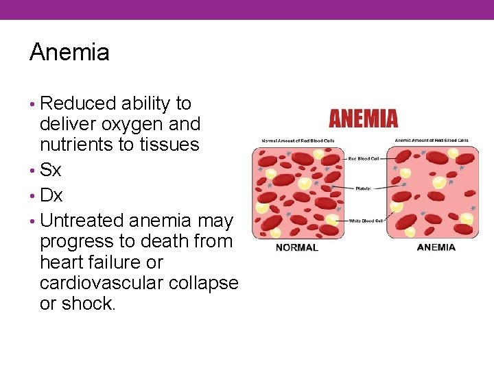 CHAPTER 7 Diseases and Disorders of the Blood