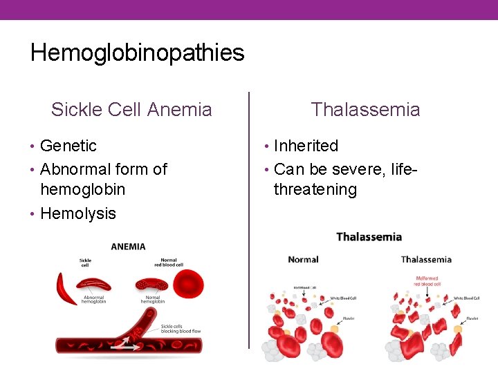 CHAPTER 7 Diseases and Disorders of the Blood