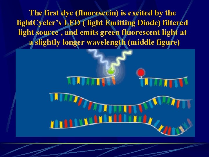 The Lightcycler Carousel with capacity for 32 samples