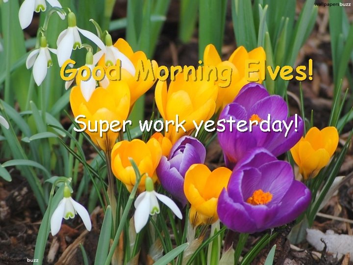 Good Morning Elves Super work yesterday Green group