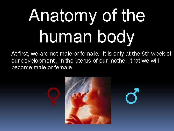 Anatomy puberty et sexual relations Objectives Human body