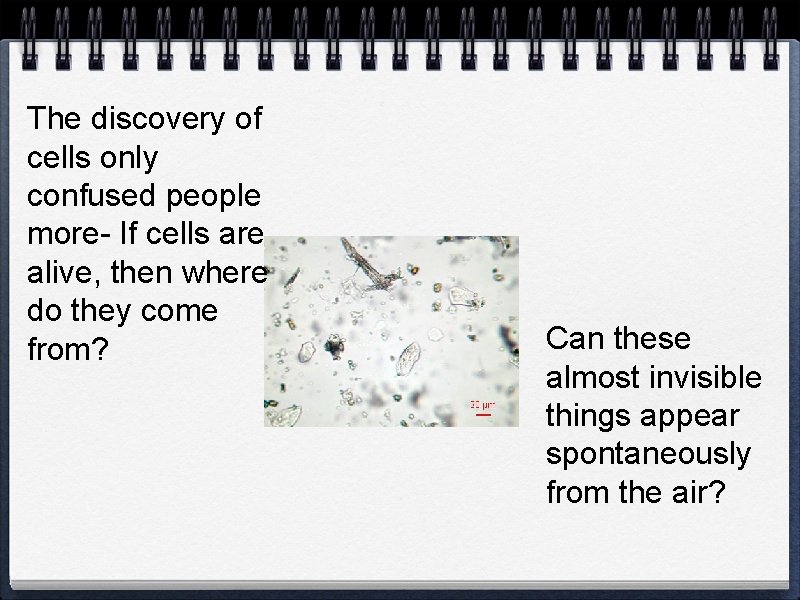 Cell Theory and the history behind it Spontaneous