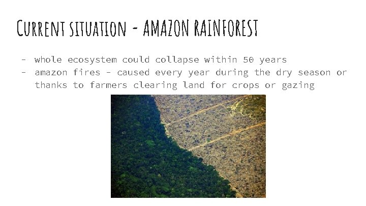 Deforestation Anna Novotov 5 BA Why so dangerous