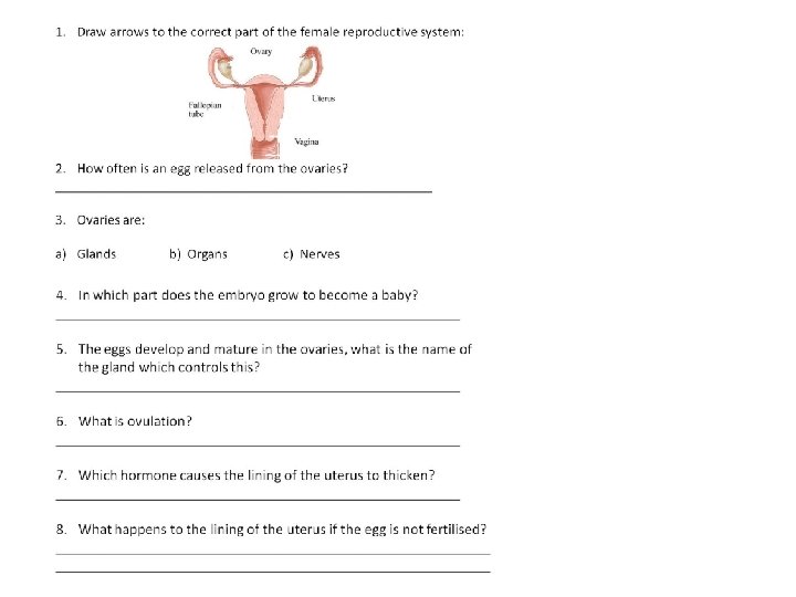 The Menstrual Cycle Do now activity Describe what