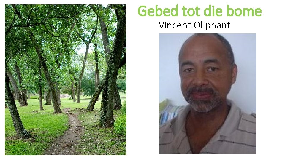 Gebed tot die bome Vincent Oliphant Ekverteller n