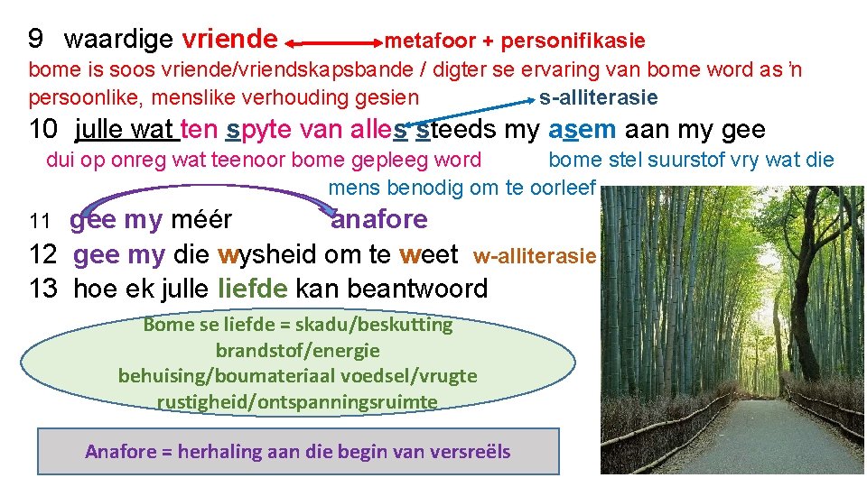 Gebed tot die bome Vincent Oliphant Ekverteller n