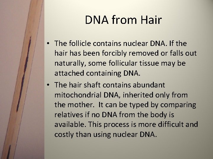 Hair Forensics 352 ODette Famous Case Napoleon Bonaparte