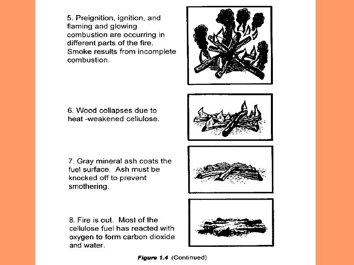 Fire Behavior Photosynthesis Biomass is Destroyed Four Phases