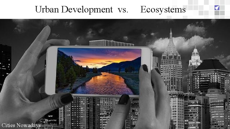 Relationship between Political Borders and Ecosystem Edges Case