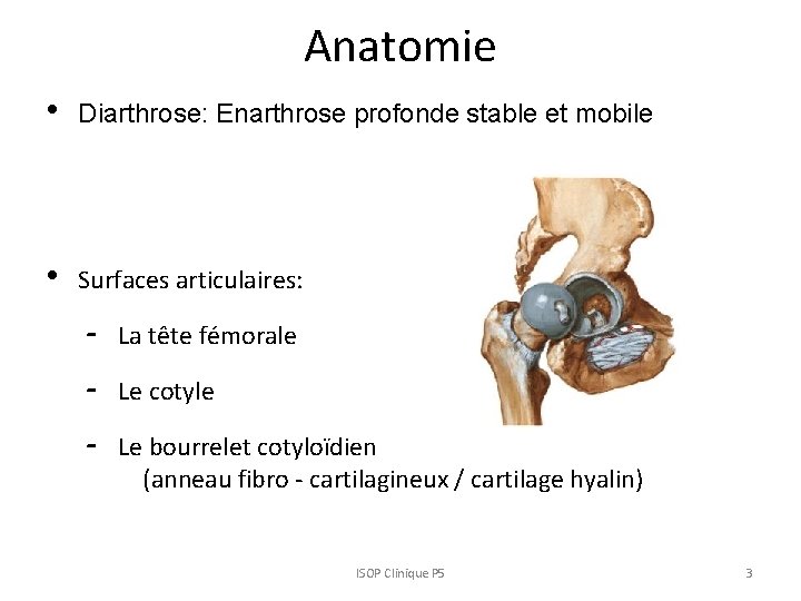 Examen clinique de la hanche Dr Marchaland JP