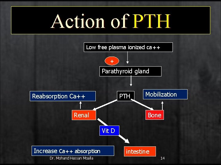 Dr Mohand Hassan Moalla 1 Ca Regulation by
