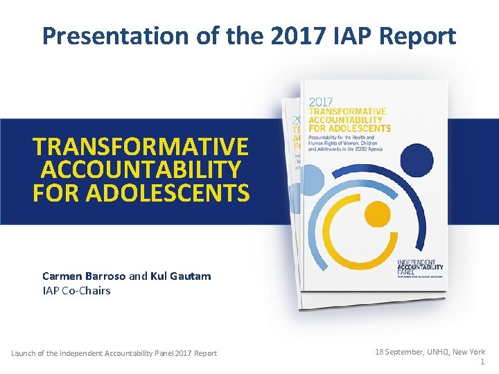 Presentation of the 2017 IAP Report TRANSFORMATIVE ACCOUNTABILITY