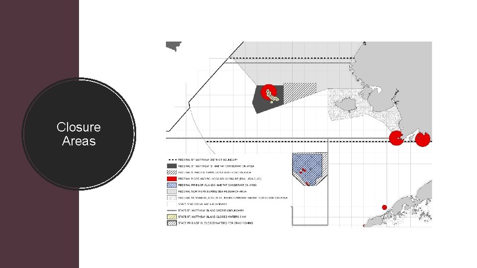 Saint Matthew Blue King Crab rebuilding progress plans