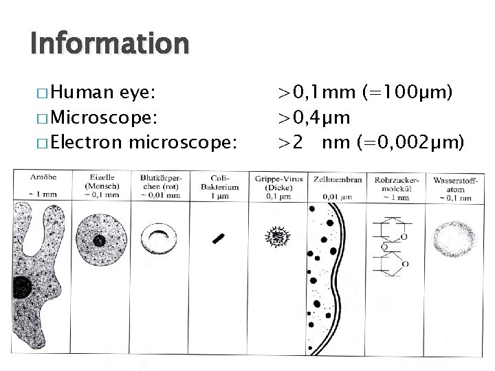 BIOLOGY WALT know the structure and function of