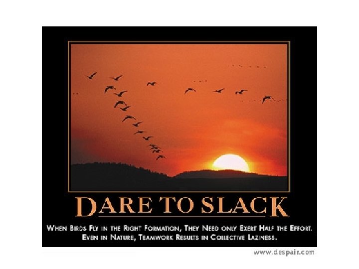 The Emergence of Everything Alan Baker Philosophy Swarthmore