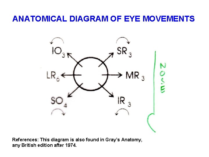 DIFFERENCES BETWEEN ANATOMICAL DESCRIPTIONS OF ACTIONS OF EXTRAOCULAR