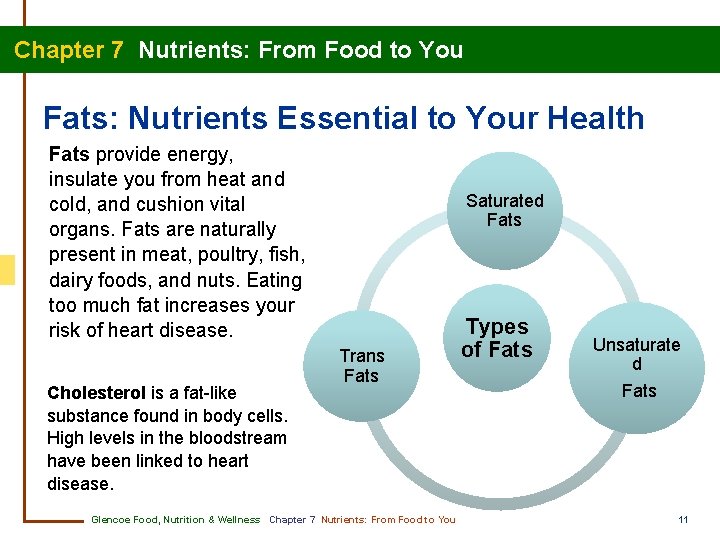 7 Chapter 7 Nutrients From Food to You