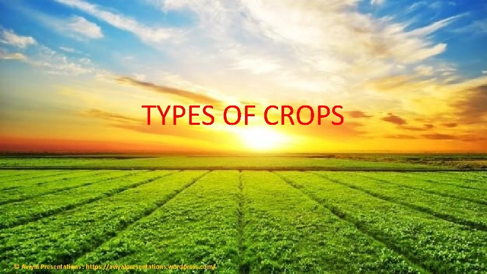 TYPES OF CROPS Aviyal Presentations https aviyalpresentations wordpress