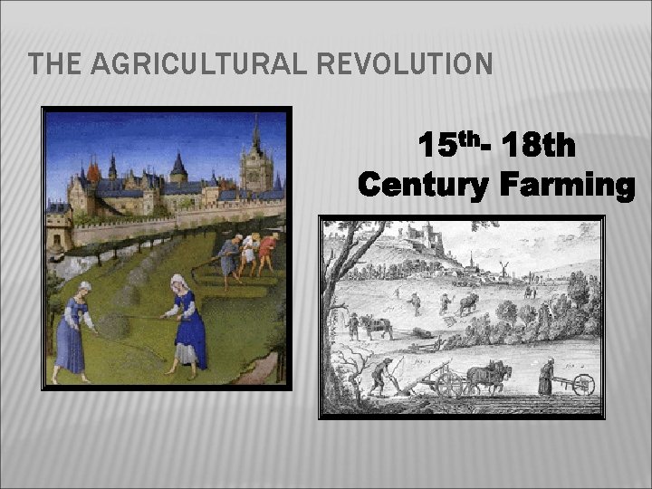 THE AGRICULTURAL REVOLUTION TRADITIONAL VILLAGE FARM LIFE FARMVILLE