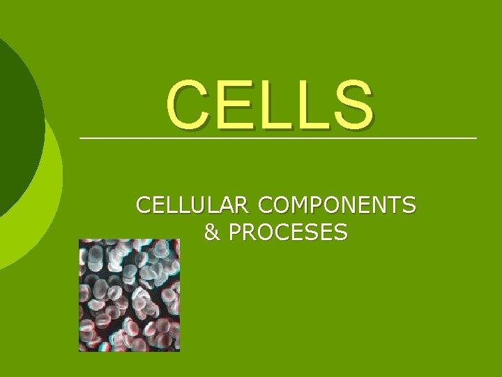 CELLS CELLULAR COMPONENTS PROCESES MODERN CELL THEORY 1