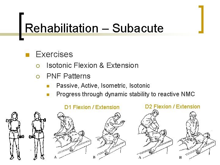 Rehabilitation of Elbow injuries Chapter 18 Rehabilitation Acute