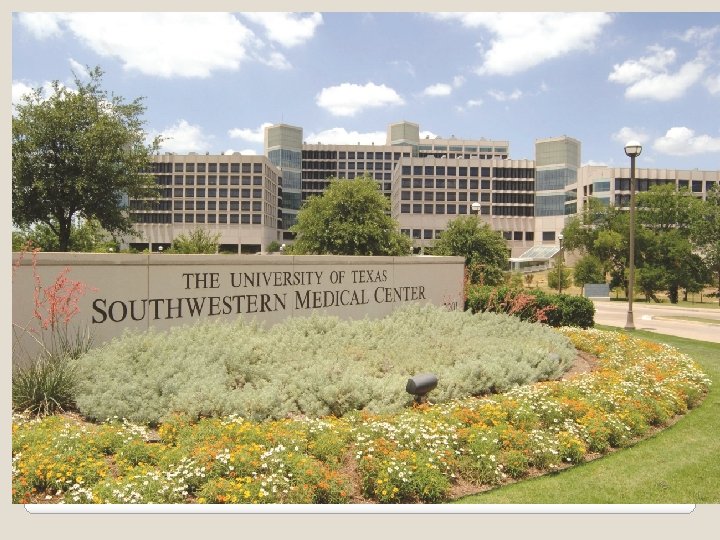 UTSW Thermal Energy Plants Power Generation and Electrical