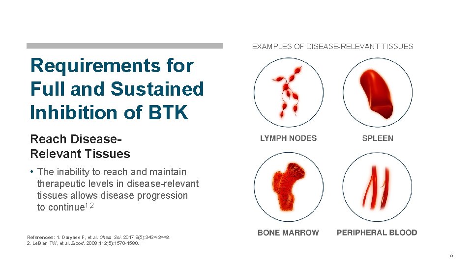 Achieving Full Brutons Tyrosine Kinase BTK Inhibition IN