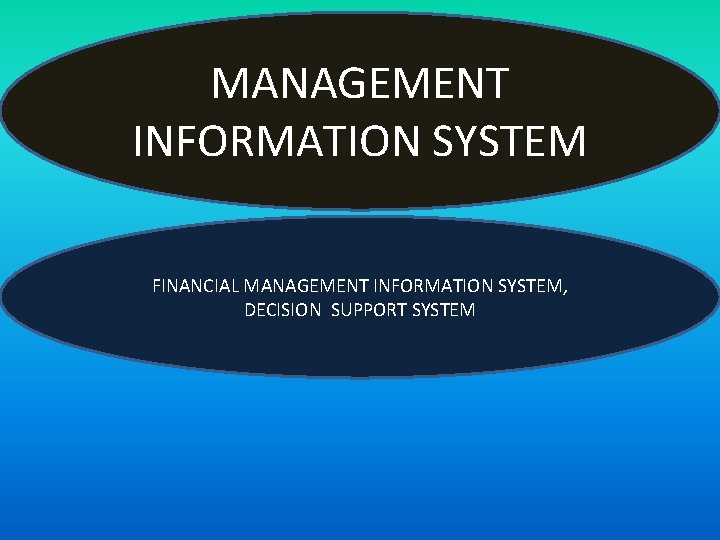 MANAGEMENT INFORMATION SYSTEM FINANCIAL MANAGEMENT INFORMATION SYSTEM ...