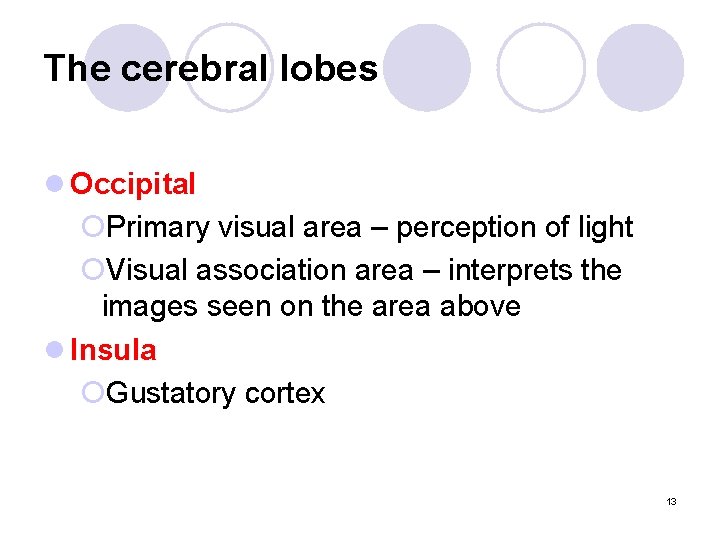 Anatomy of the Brain and Cranial Nerves 1