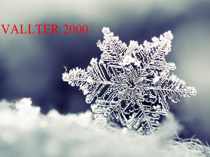 VALLTER 2000 On s Vallter 2000 Est situat