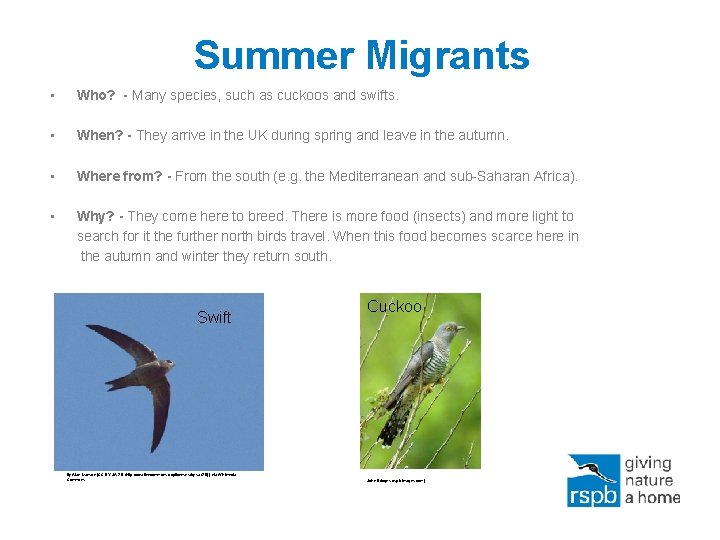Migration Learning Objective To use a map to