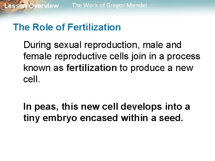 Lesson Overview The Work of Gregor Mendel Lesson