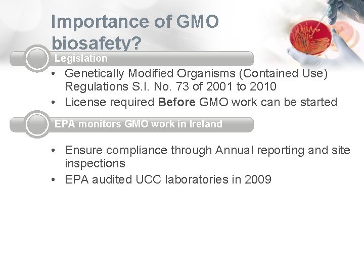 GMM GMO Biosafety in UCC Pat Casey UCC