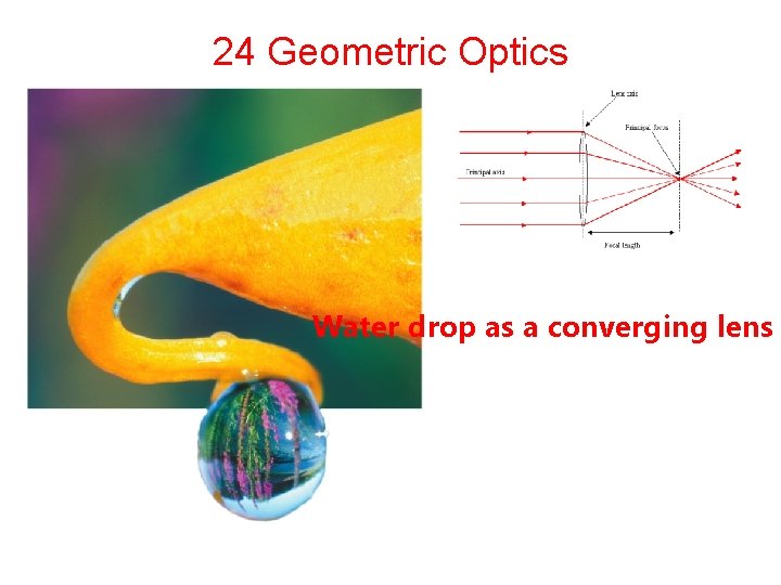 24 Geometric Optics Water drop as a converging